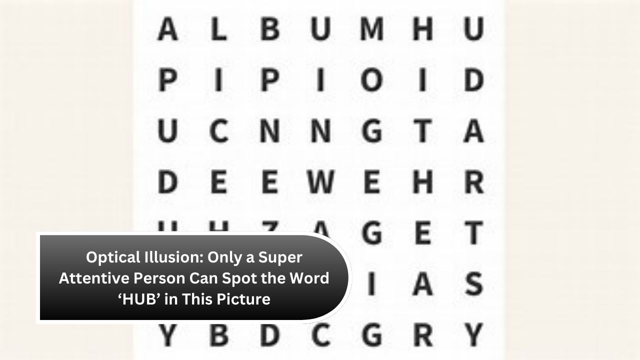 Optical Illusion: Only a Super Attentive Person Can Spot the Word ‘HUB ...